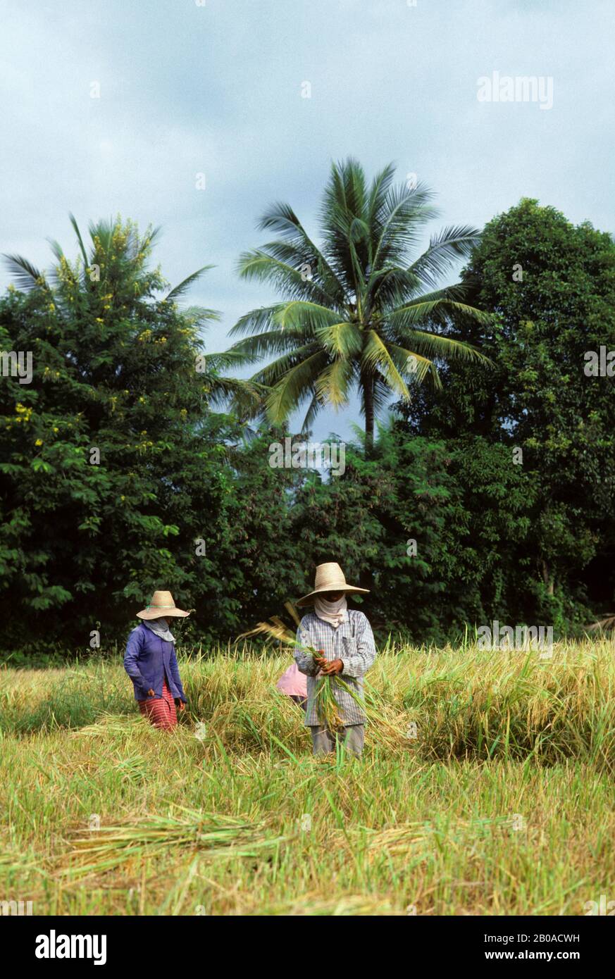 Central asia plains hi-res stock photography and images - Alamy