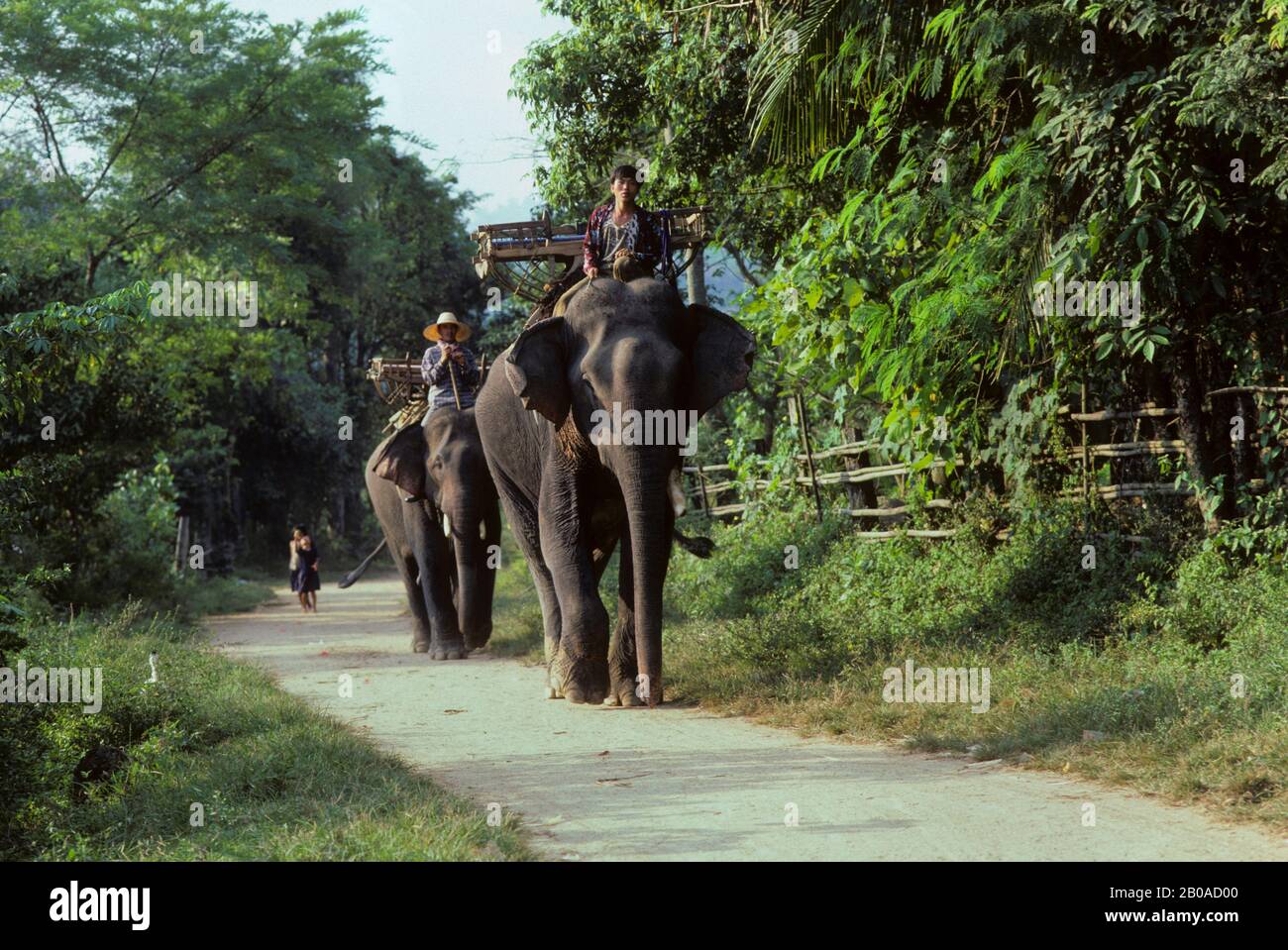 NORTH THAILAND, MAE KOK RIVER, KAREN VILLAGE, TRIBESMEN RIDING ...
