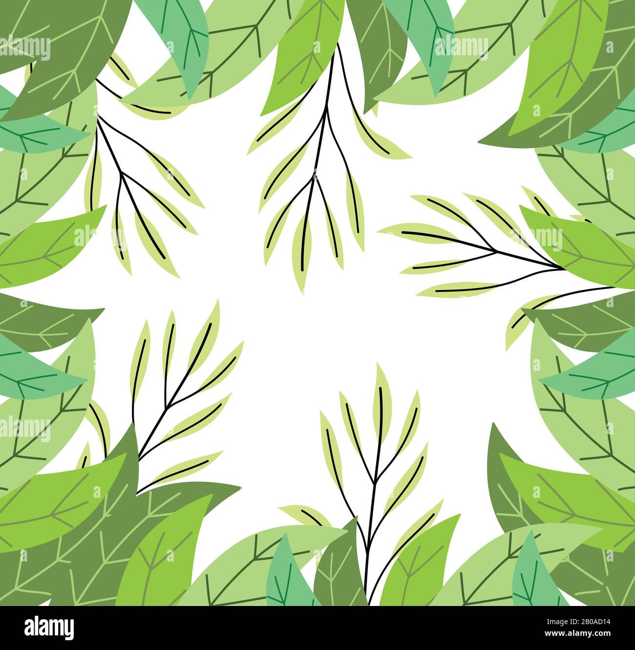 herbs foliage leaves vegetation wild botany background vector ...