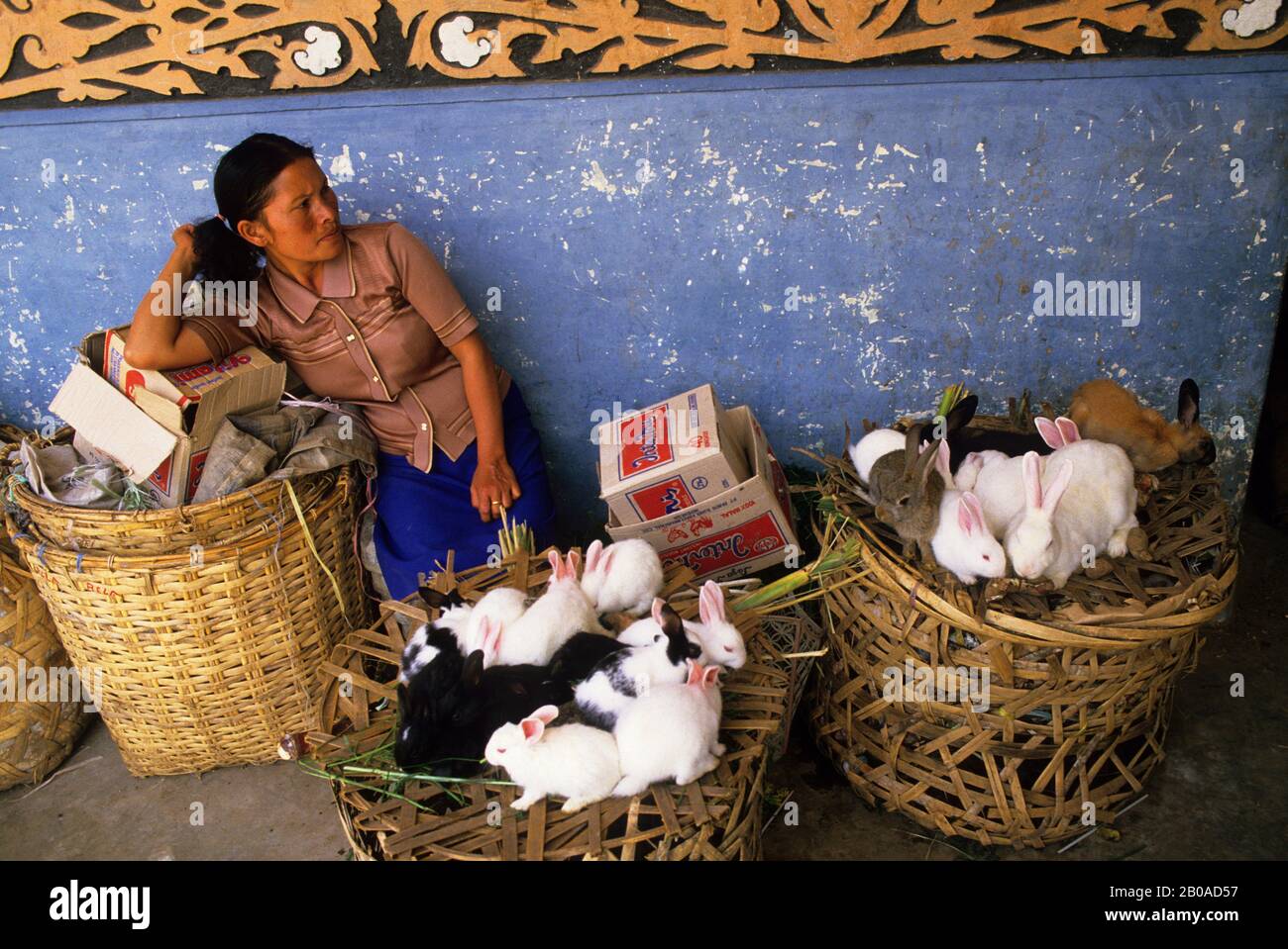 ASIA, INDONESIA, SUMATRA, BRASTAGI, MARKET SCENE, WOMAN SELLING RABBITS ...