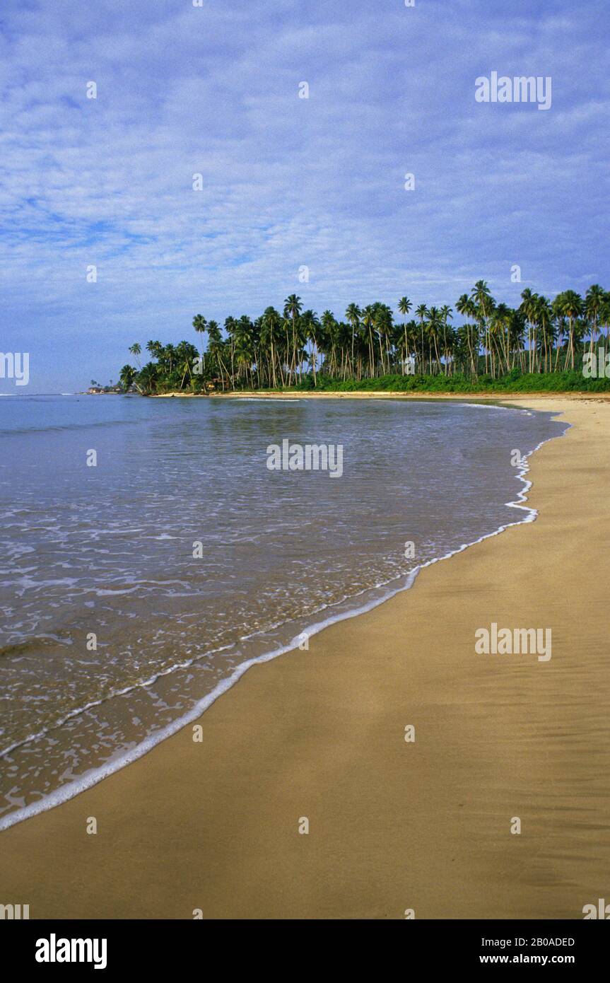 Nias hi-res stock photography and images - Alamy