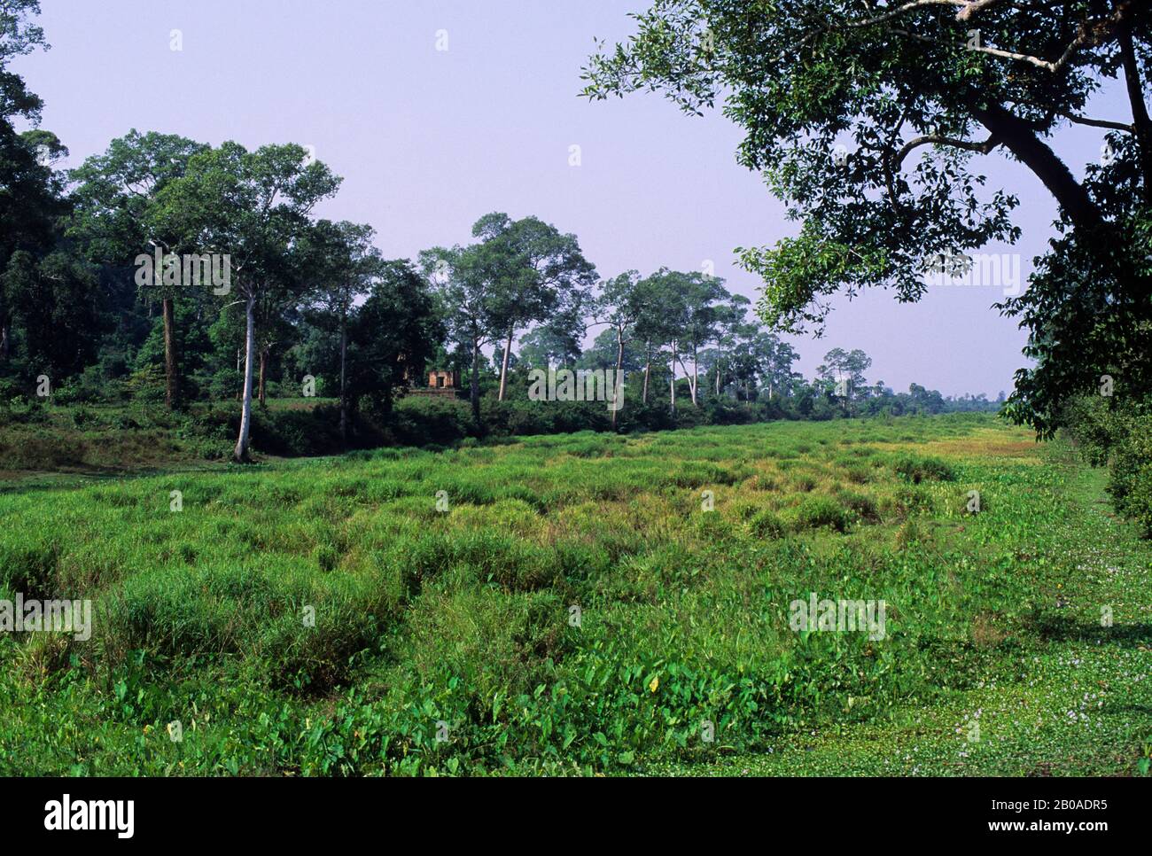 CAMBODIA, ANGKOR, ANGKOR THOM, MOAT Stock Photo - Alamy
