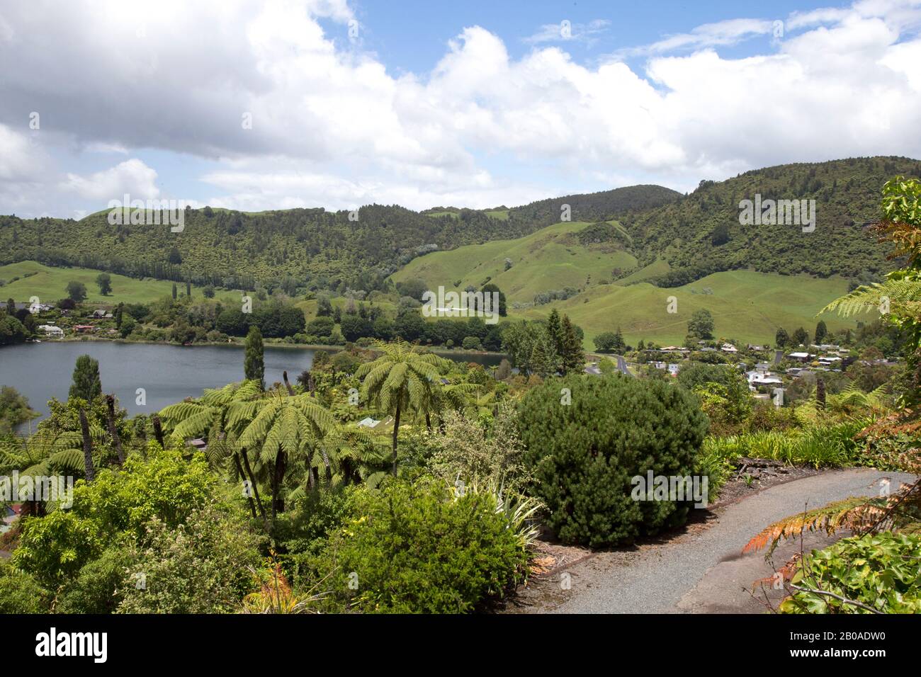 Panoramic view of green exotic giant ferns and small town behind Stock ...