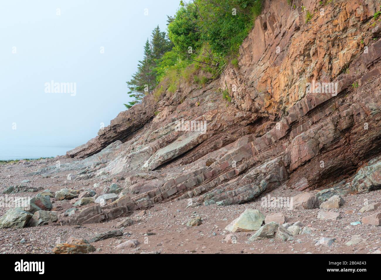 Fossils sedimentary rock hi-res stock photography and images - Alamy