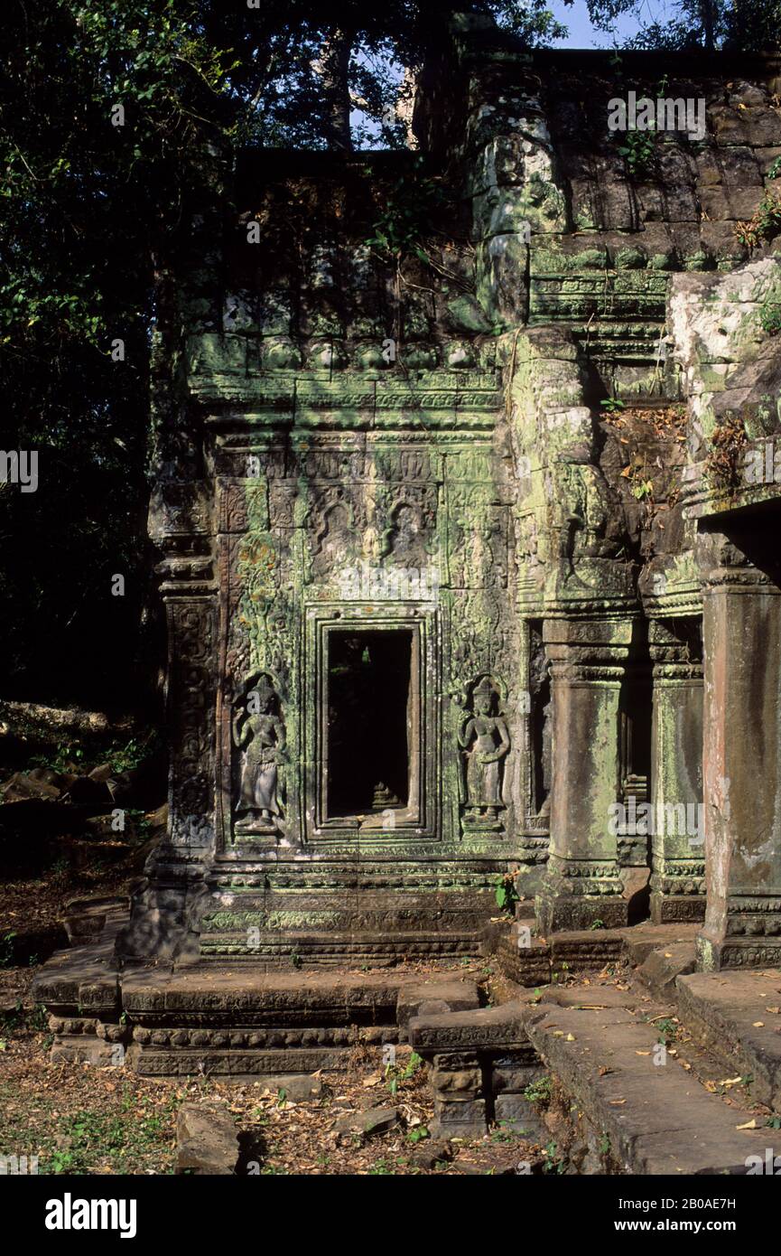 CAMBODIA, ANGKOR, TA PROHM TEMPLE, OVERGROWN WITH VEGETATION Stock ...