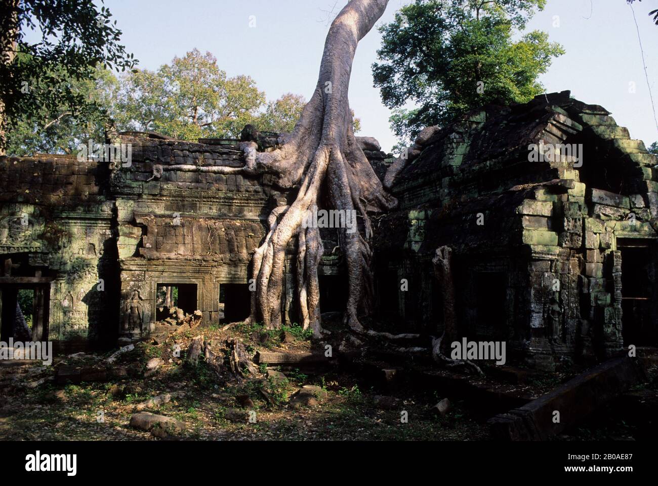 Overgrown temples hi-res stock photography and images - Alamy