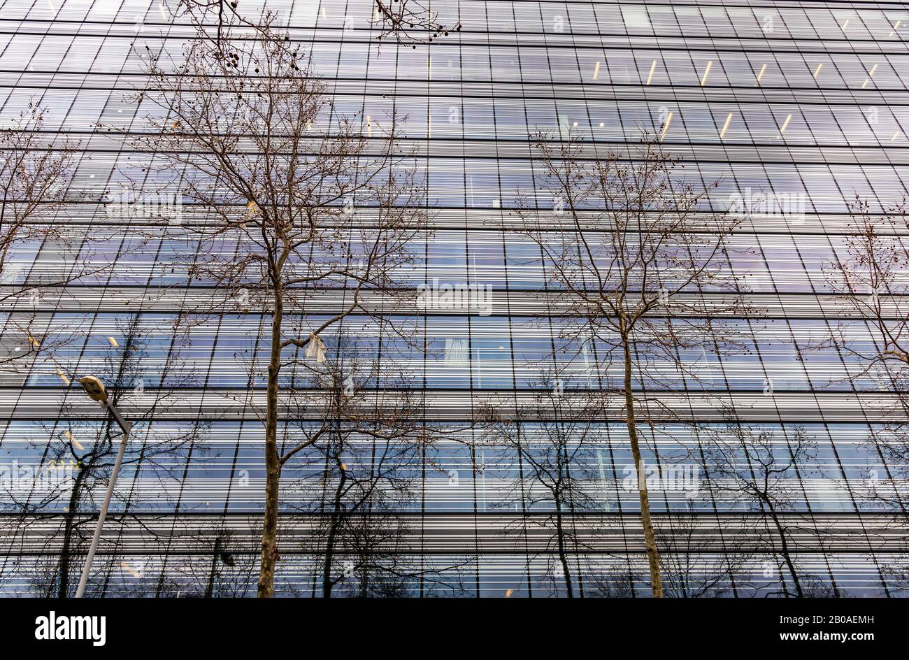 Lines, windows and sky reflections Stock Photo - Alamy