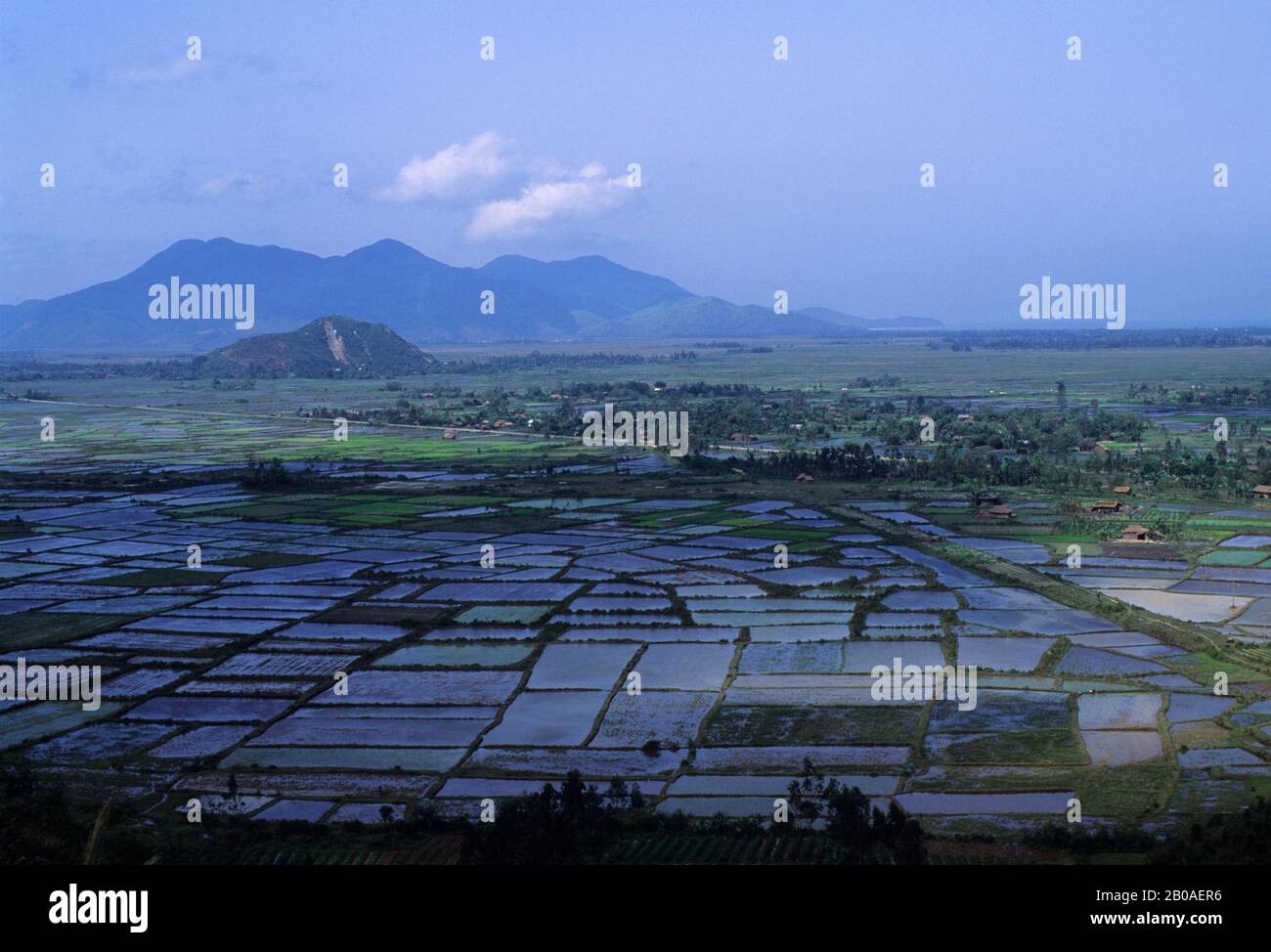VIETNAM, NEAR DA NANG, VIEW OF RICE FIELDS Stock Photo - Alamy