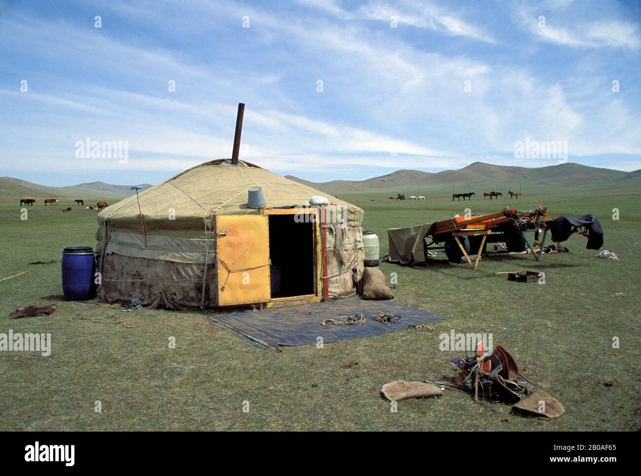Yurt mongolia horse hi-res stock photography and images - Alamy