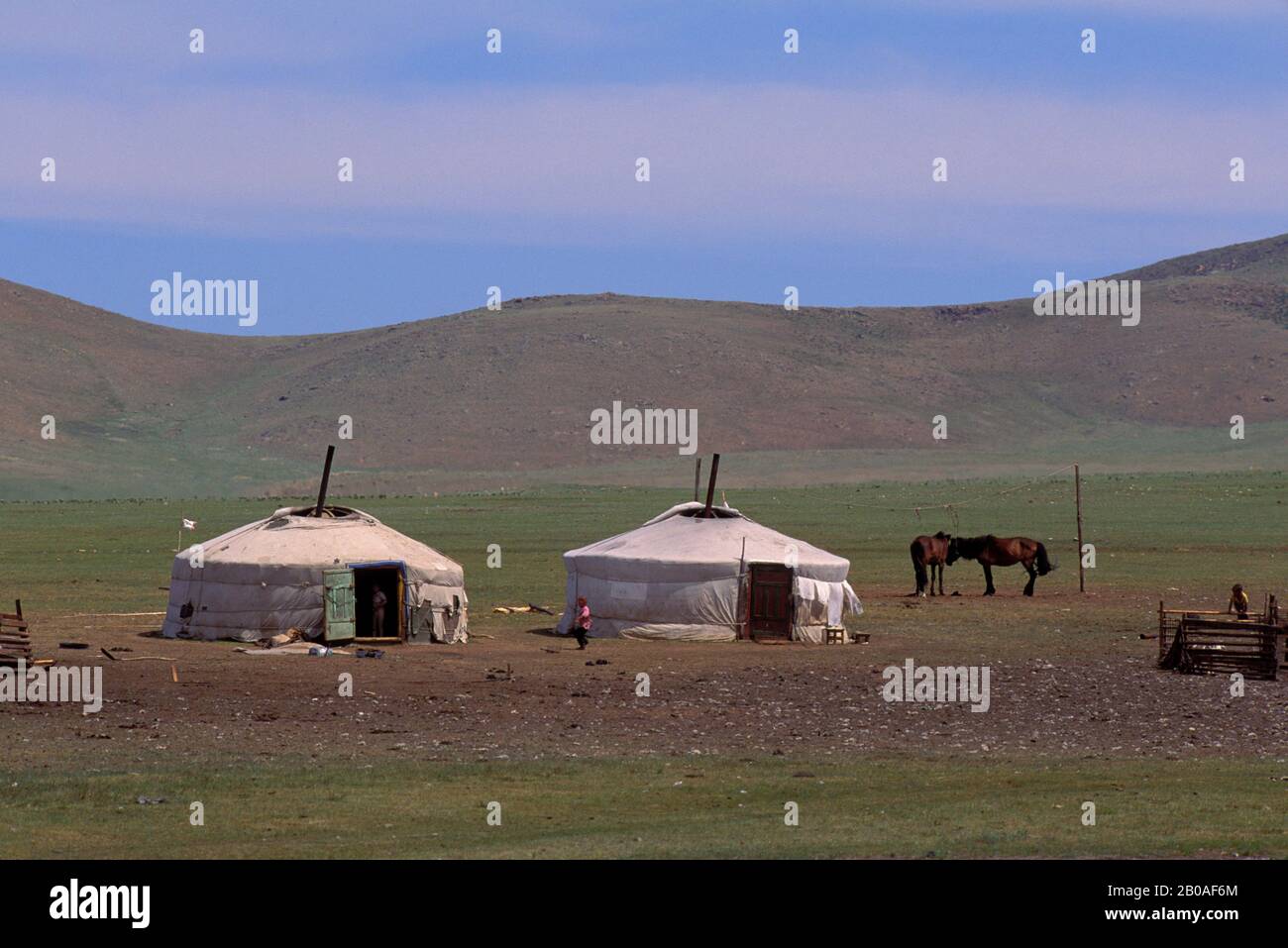 MONGOLIA, NEAR ULAN BATOR, GRASSLAND WITH YURTS Stock Photo - Alamy