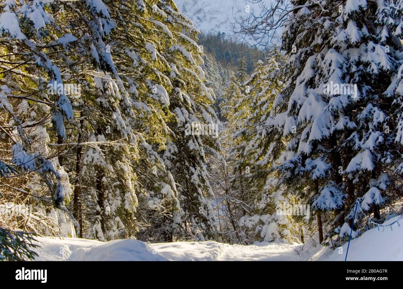 Beautiful winter view hi-res stock photography and images - Alamy