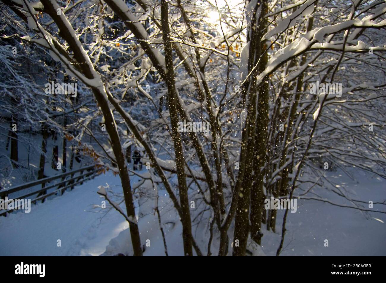beautiful winter view Stock Photo - Alamy