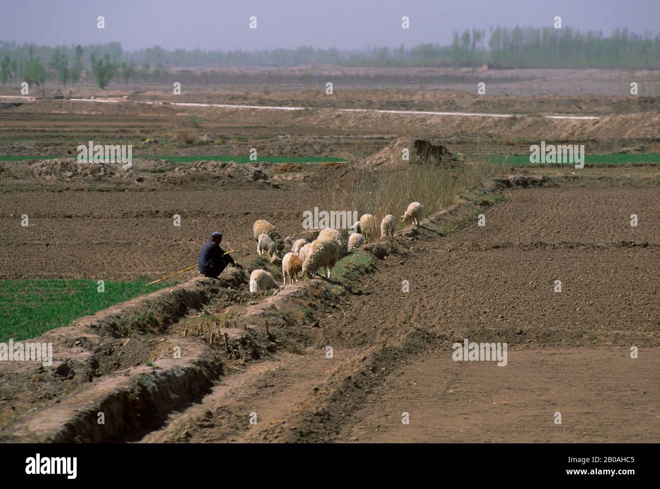 Semi arid china hi-res stock photography and images - Alamy