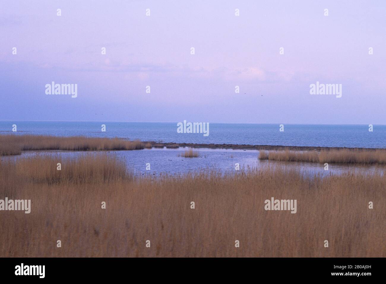 KAZAKHSTAN, OZERO ALAKOL LAKE, MARSH Stock Photo - Alamy