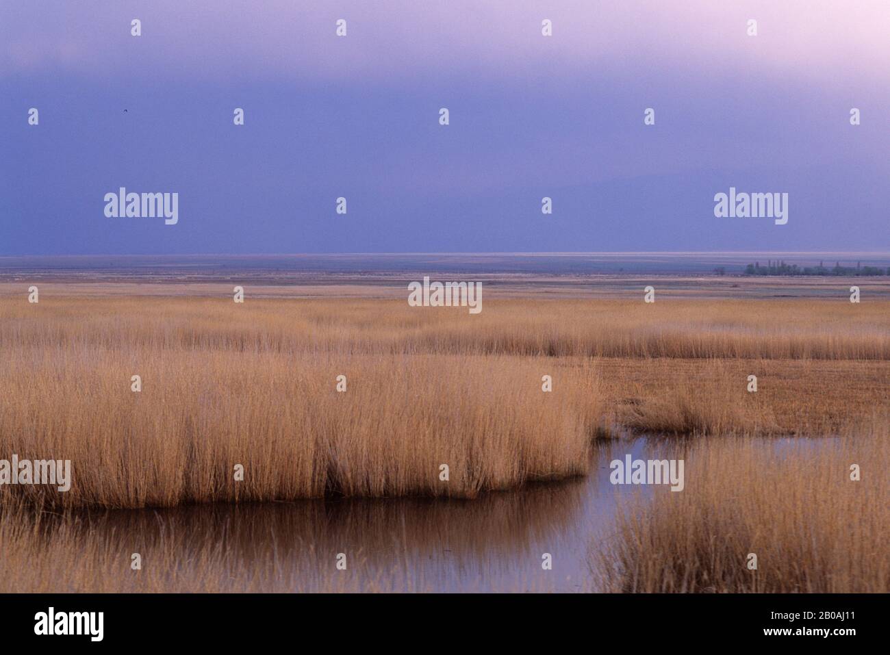 Ozero hi-res stock photography and images - Alamy