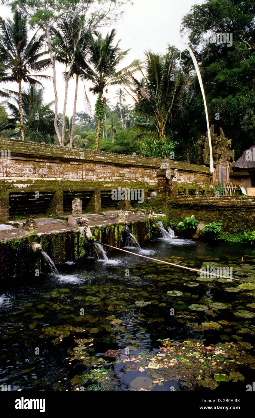 INDONESIA, BALI, HOLY SPRING TEMPLE, TIRTHA EMPUL, POOL Stock Photo - Alamy