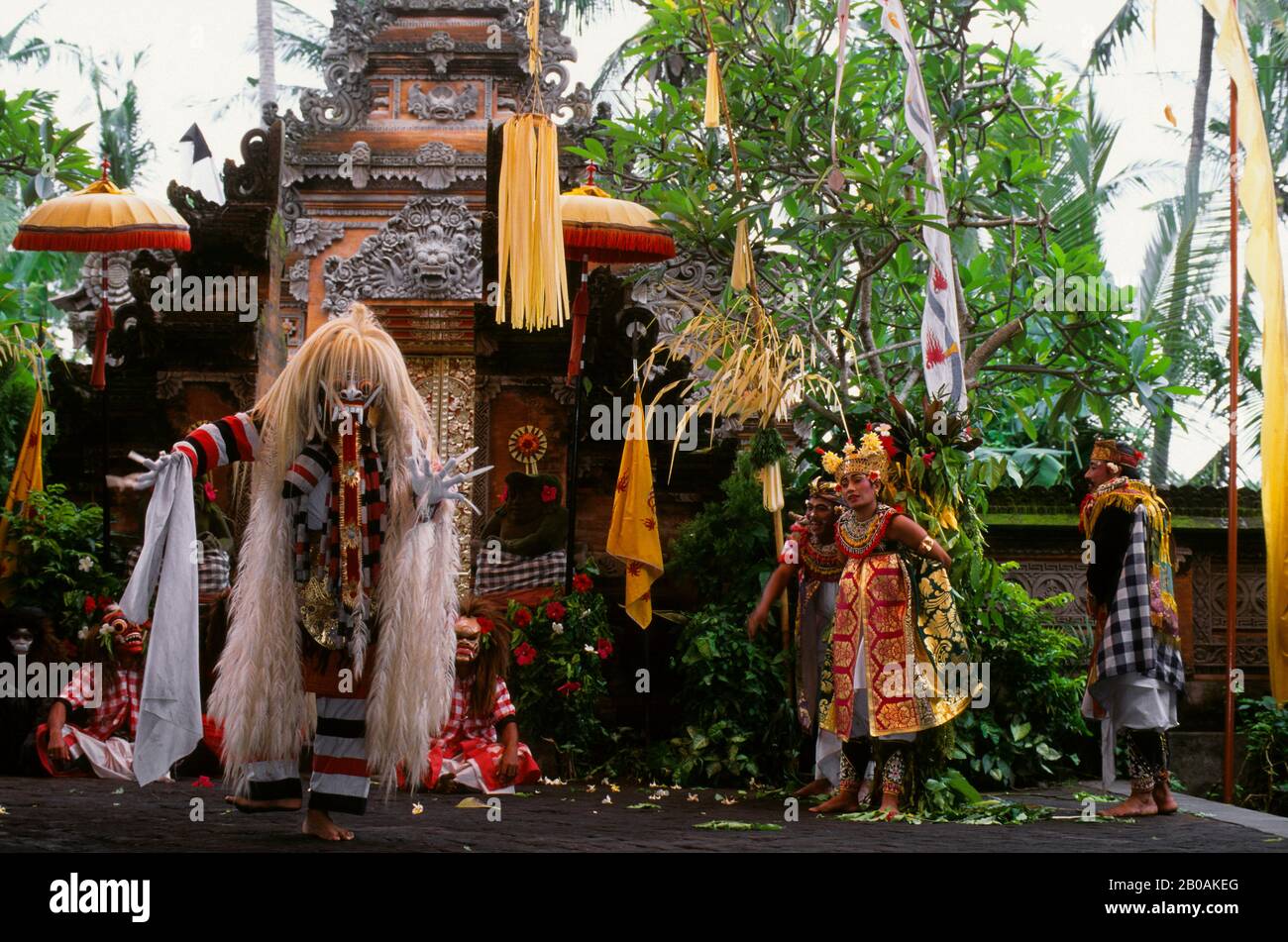 INDONESIA, BALI, BARONG DANCE, SAHADEWA TIED UP ON TREE, WITCH Stock ...