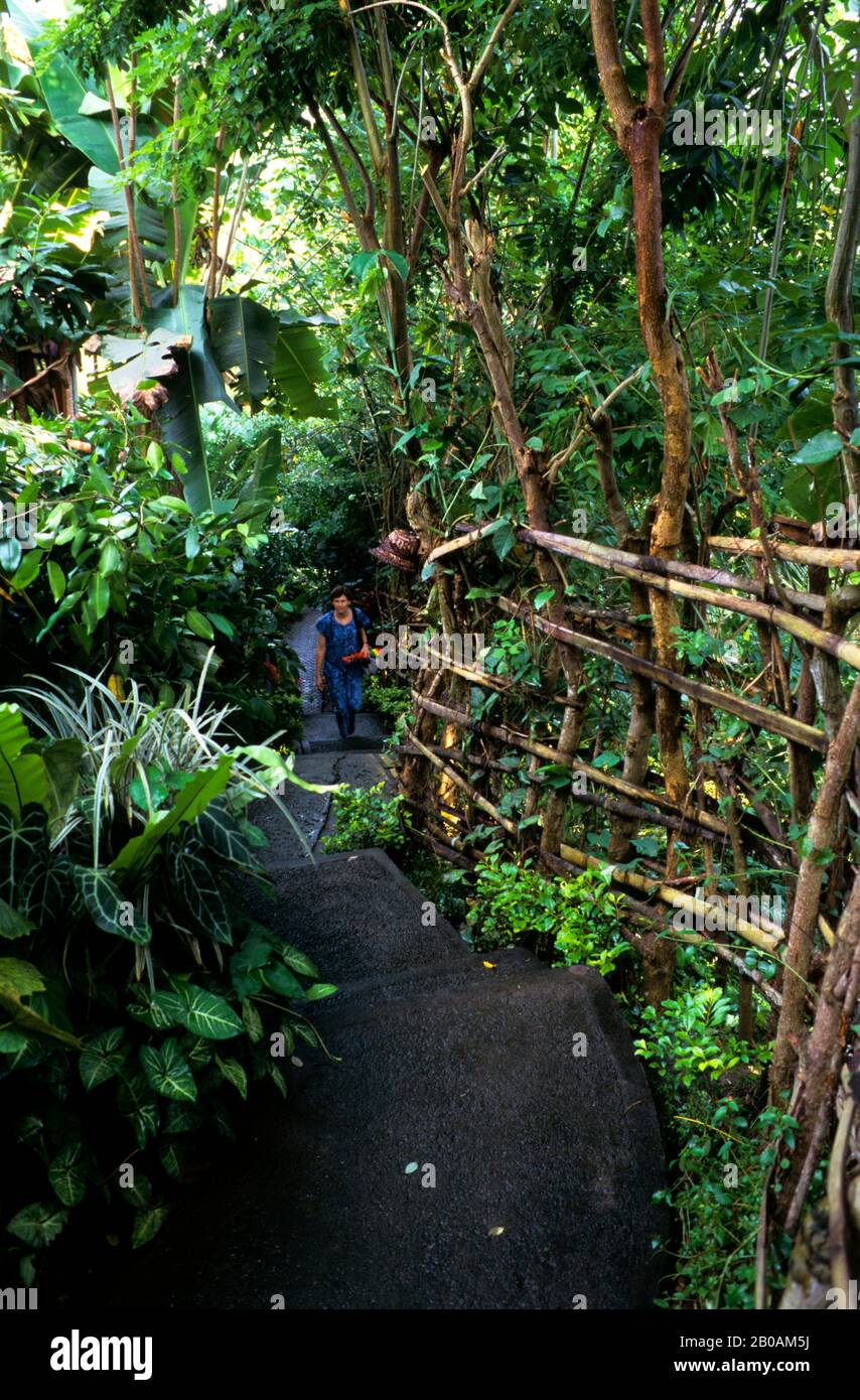 INDONESIA, BALI, UBUD, 'KEBUN INDAH' BUNGALOWS, PATH Stock Photo - Alamy