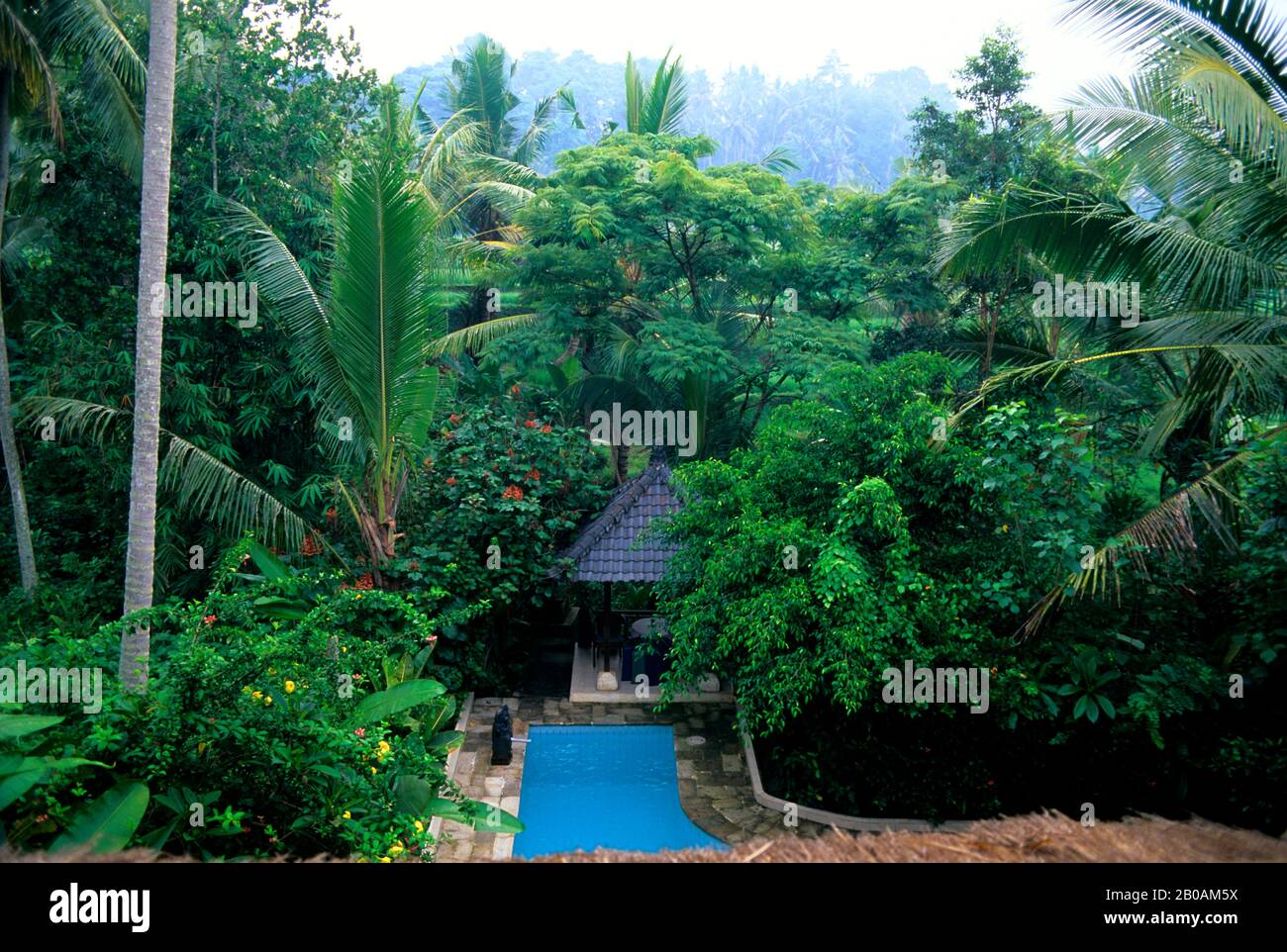INDONESIA, BALI, UBUD, 'KEBUN INDAH' BUNGALOWS, VIEW FROM UPSTAIRS ROOM ...