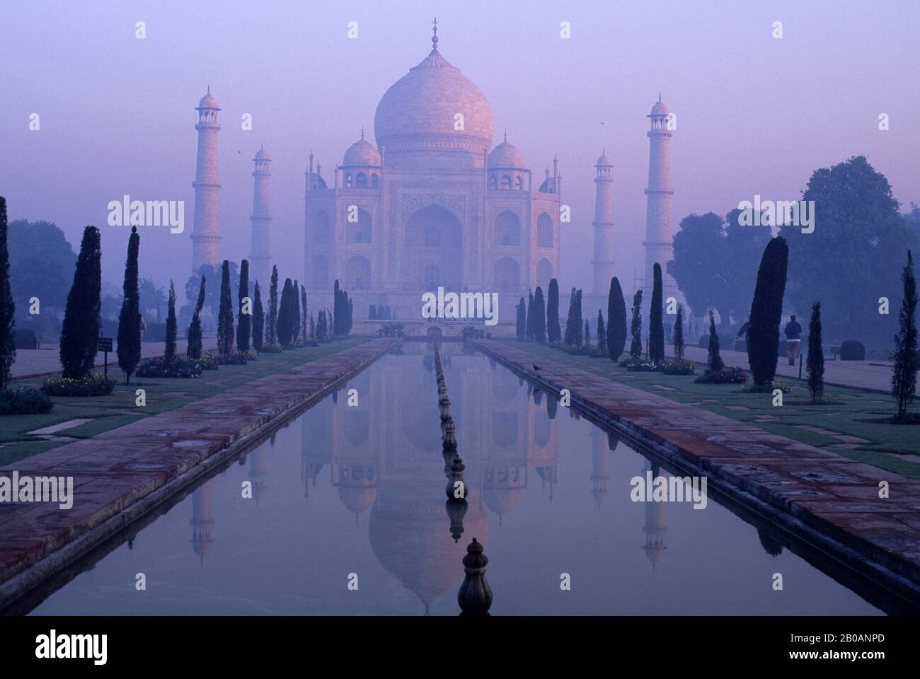 INDIA, AGRA, TAJ MAHAL REFLECTING IN POOL Stock Photo - Alamy