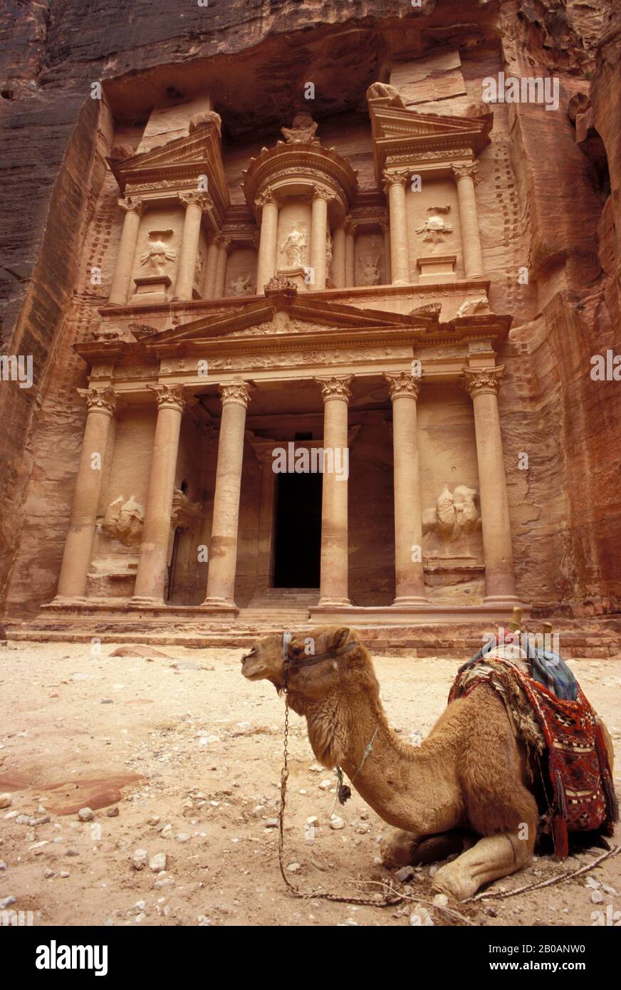 Camels tourist petra treasury hi-res stock photography and images - Alamy