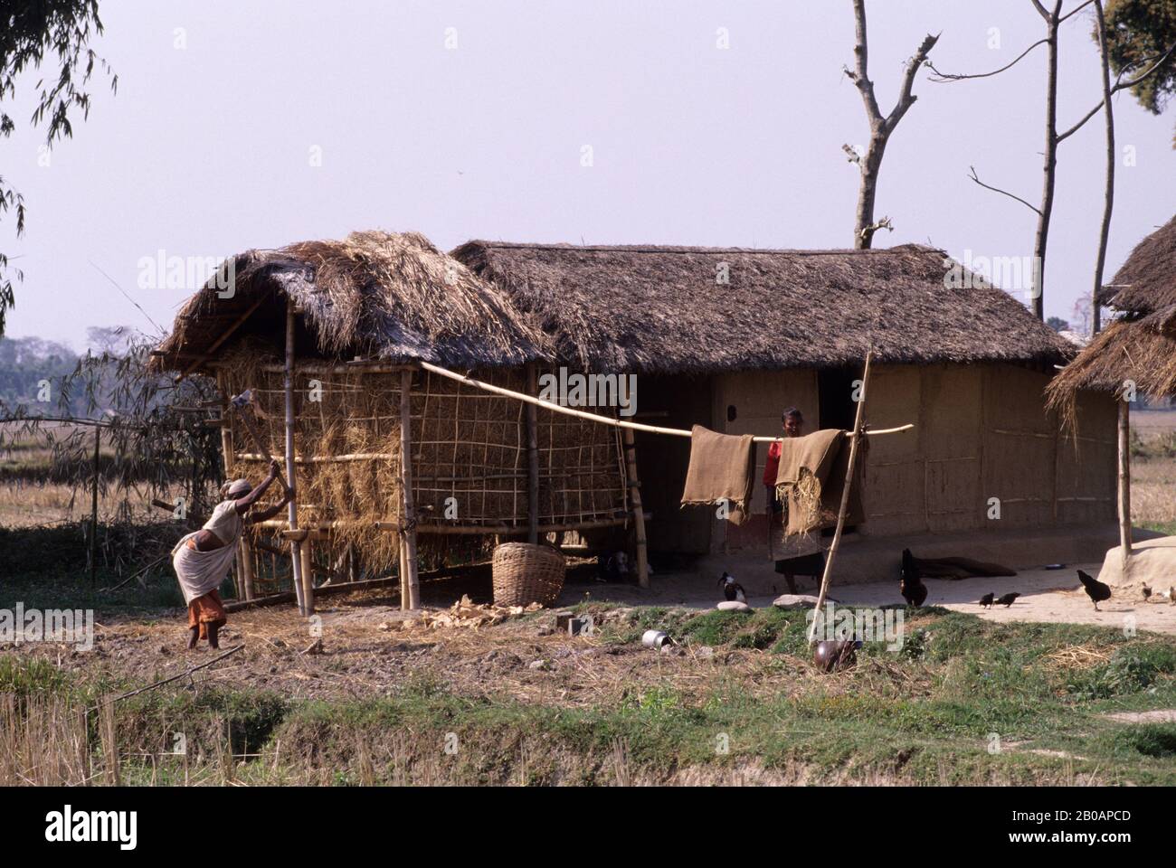 INDIA, ASSAM PROVINCE, NEAR KAZIRANGA NATIONAL PARK, VILLAGE SCENE ...