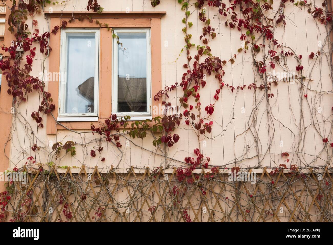 House covered with vines hi-res stock photography and images - Alamy