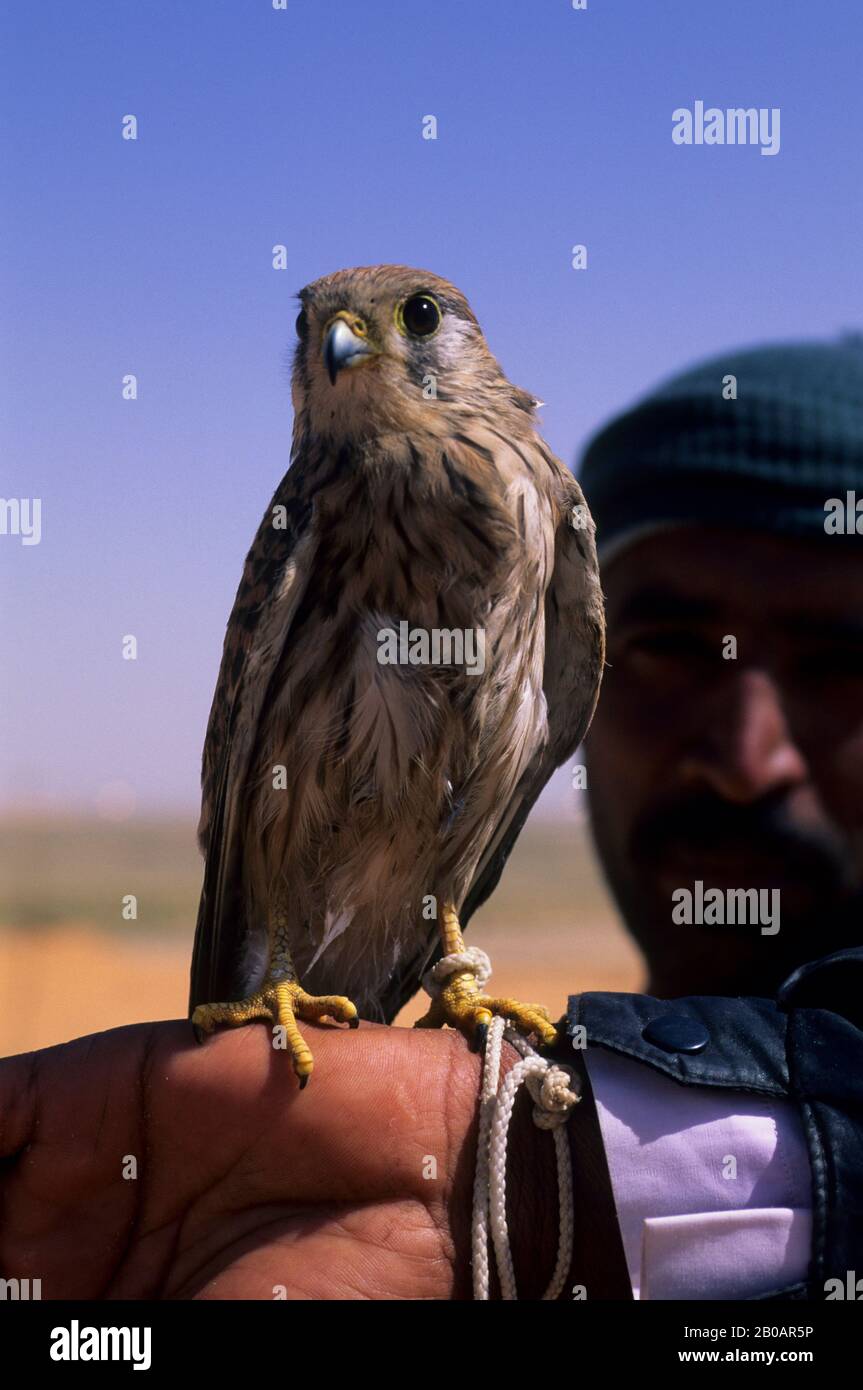 Riyadh saudi arabia saudi man hi-res stock photography and images - Alamy