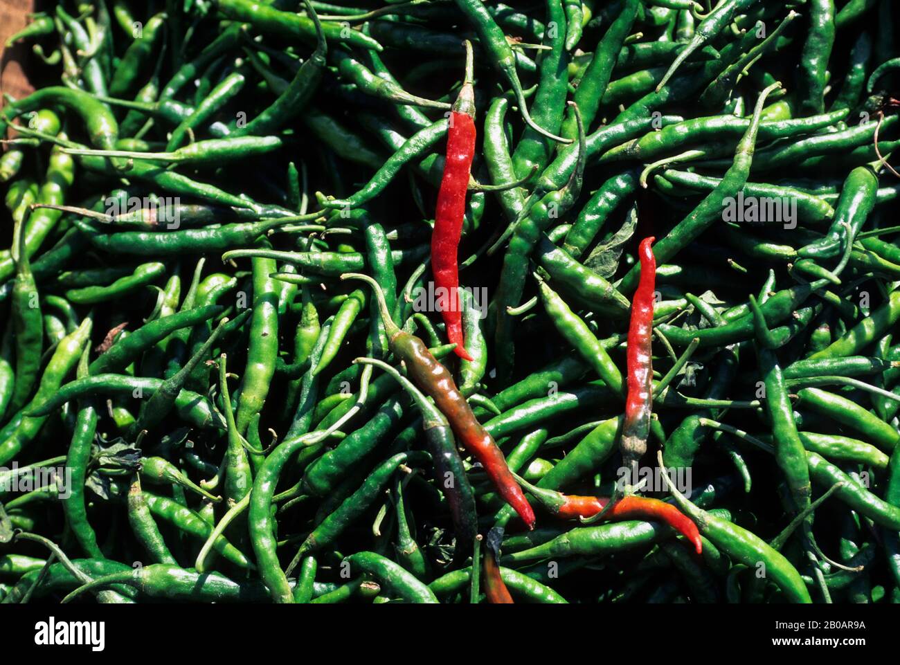 SAUDI ARABIA, NEAR ABHA, AL WADIJAN, FRIDAY MARKET, CHILI PEPPERS Stock ...