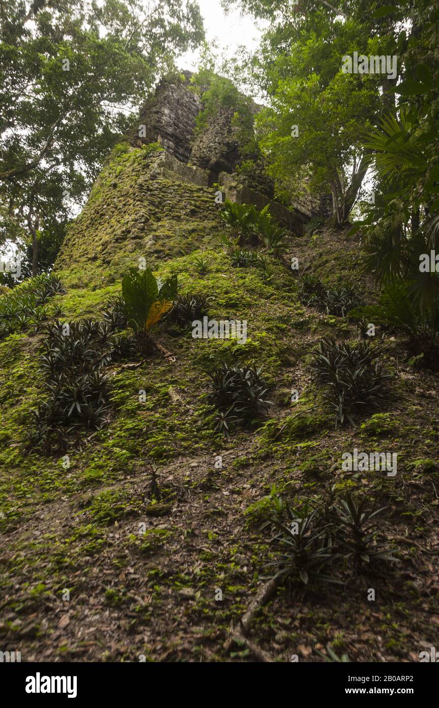 Guatemala, Tikal National Park, Central Acropolis, landscape; UNESCO ...