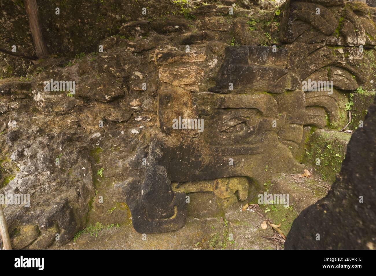 Guatemala, Tikal National Park, Central Acropolis, Mayan stone carving ...
