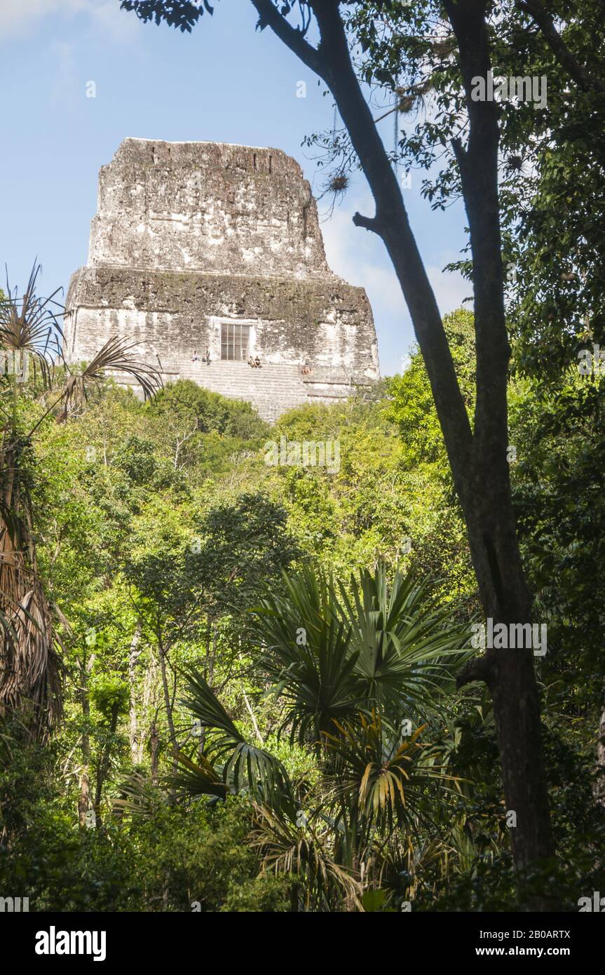 Guatemala, Tikal National Park, Templo IV, 741 AD, tallest Mayan ...