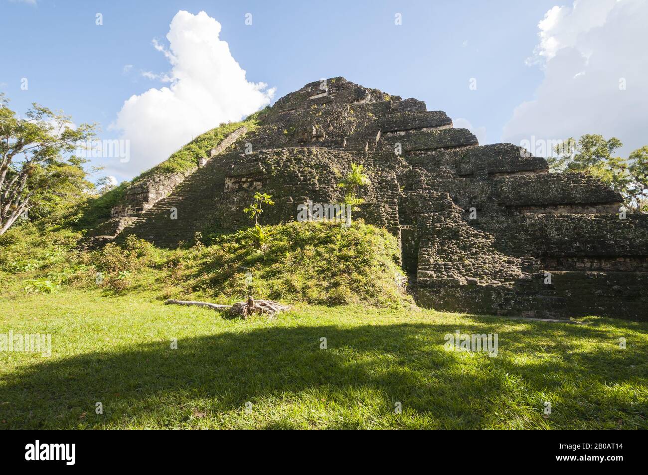 Guatemala, Tikal National Park, Mundo Perdido, Lost World Pyramid, 700 ...
