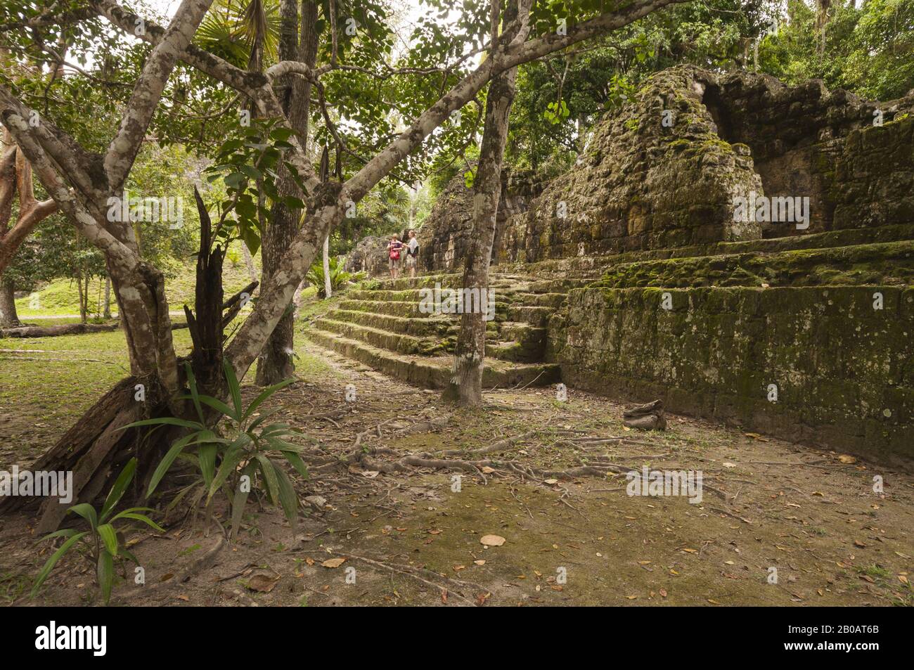 Guatemala, Tikal National Park, Mundo Perdido, temple ruins; UNESCO ...