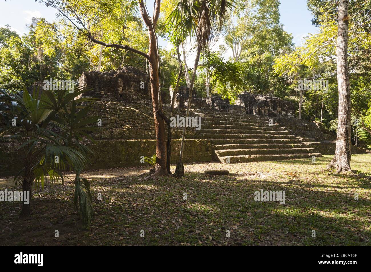 Guatemala, Tikal National Park, Mundo Perdido, temple ruins; UNESCO ...