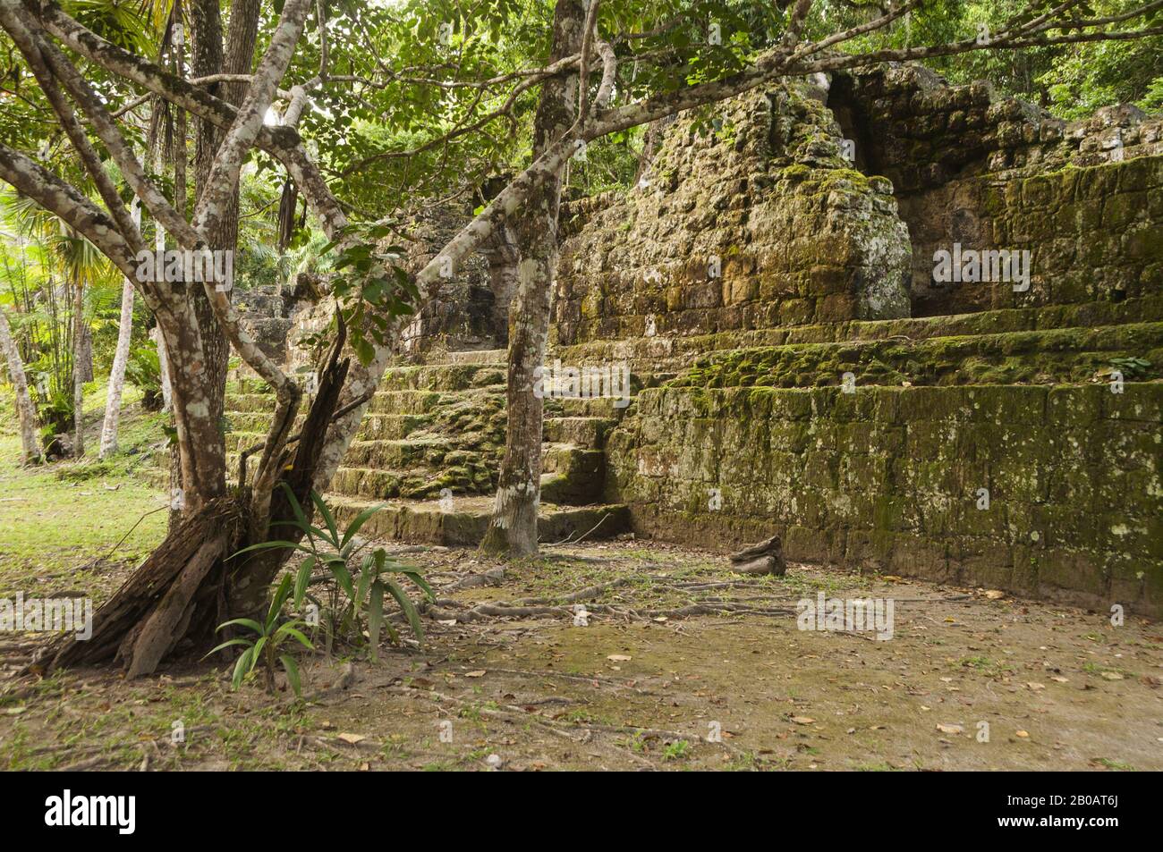 Guatemala, Tikal National Park, Mundo Perdido, temple ruins; UNESCO ...