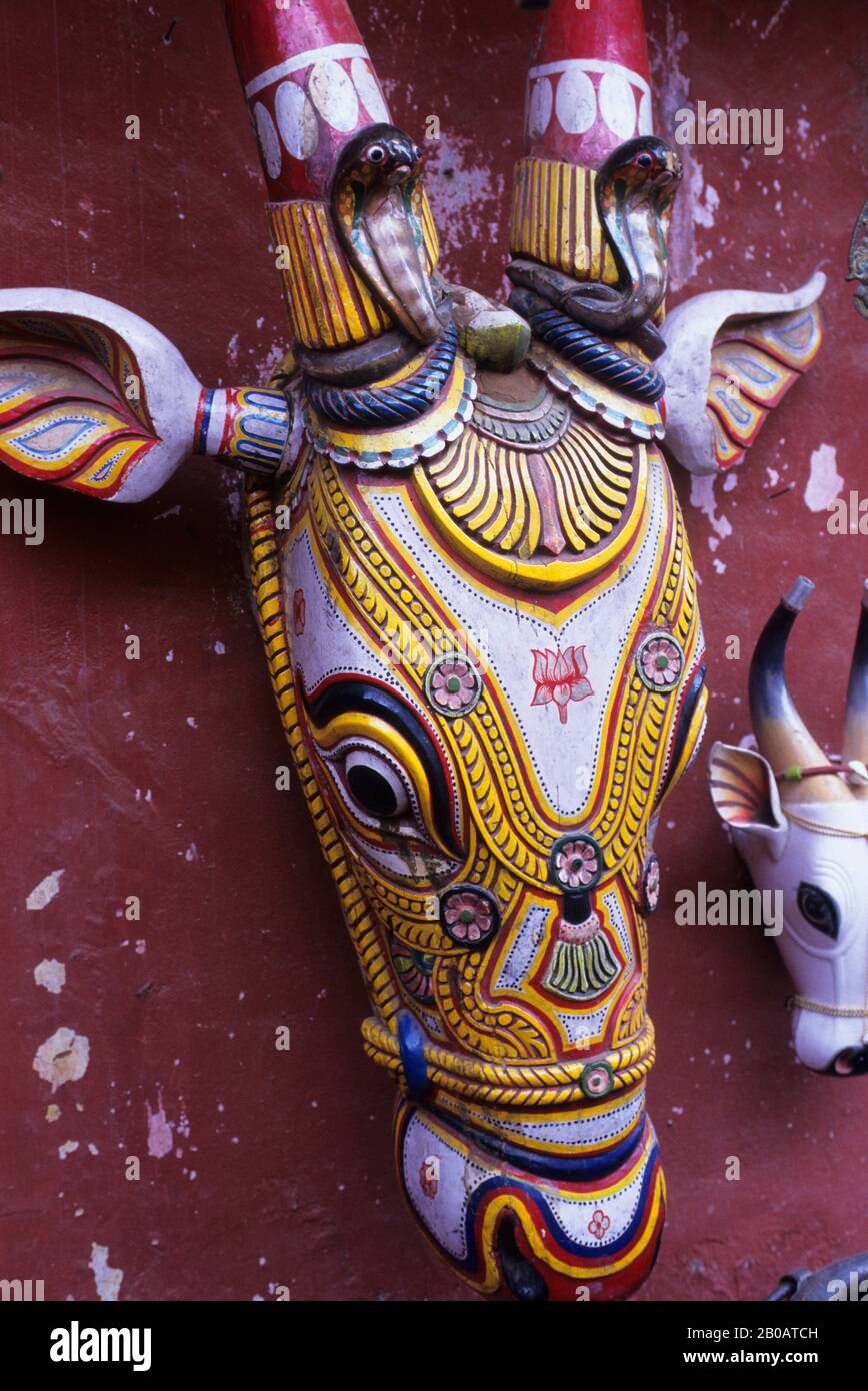 Cow head hi-res stock photography and images - Alamy