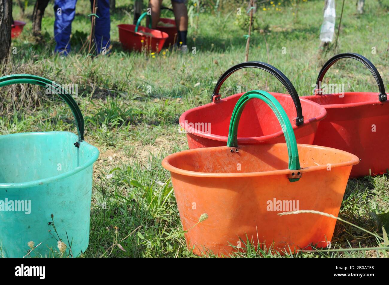 Orange pickers hi-res stock photography and images - Alamy