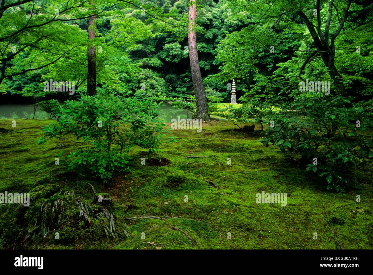Moss temple hi-res stock photography and images - Alamy