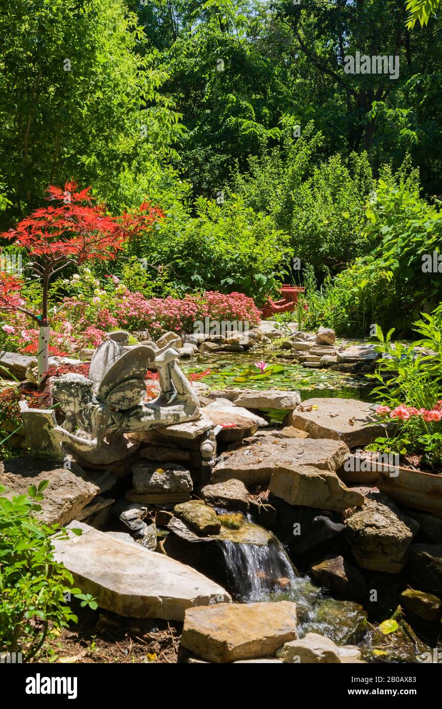 Cascading waterfall and pond with pink Nymphaea - Water Lilies and ...