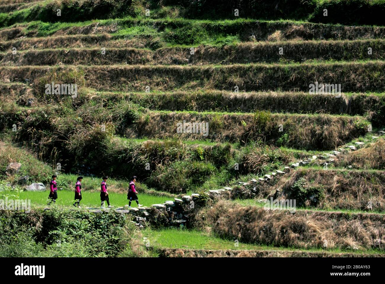 Yao women in traditional costume hi-res stock photography and images ...