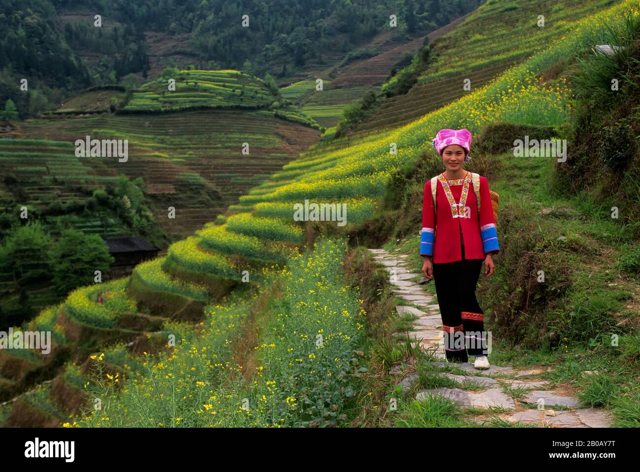 CHINA, GUANGXI PROVINCE, NEAR GUILIN, LONGJI AREA, TERRACED FIELDS ...