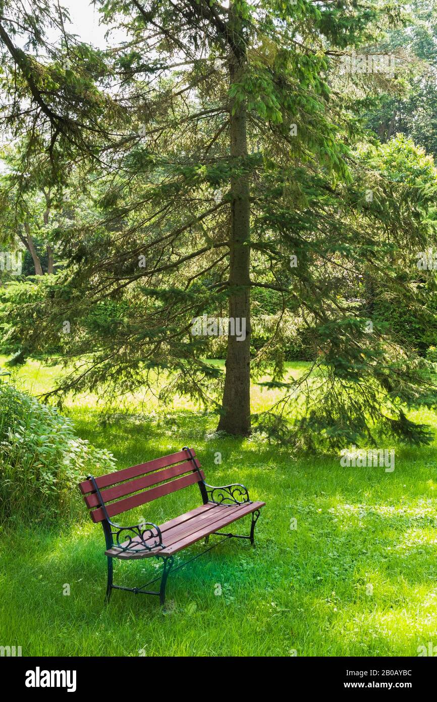 Burgundy wood and black cast iron metal sitting bench on green grass ...