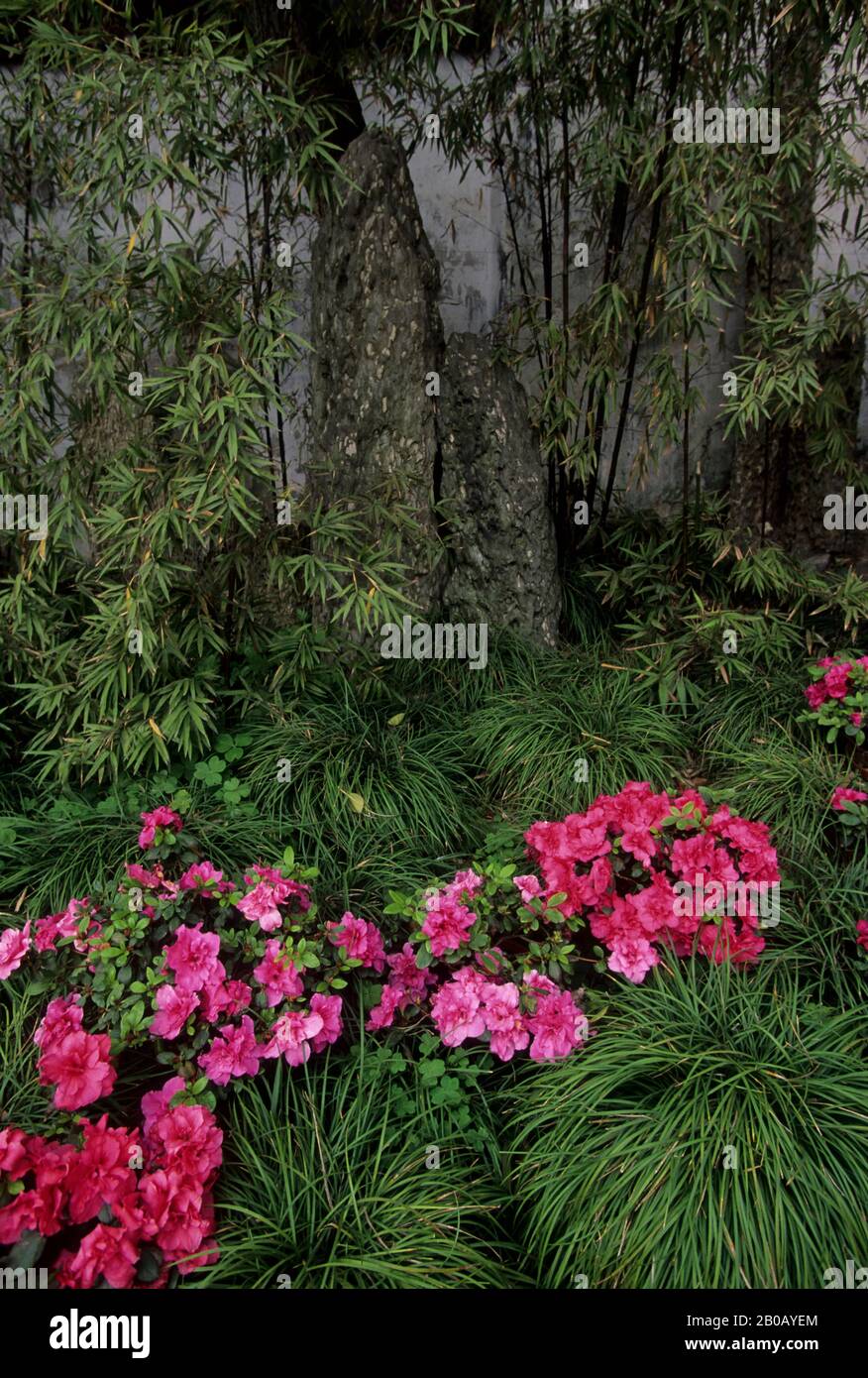 CHINA, SHANGHAI, YU YUAN GARDEN (GARDEN OF JOY), MING DYNASTY, 1559 ...