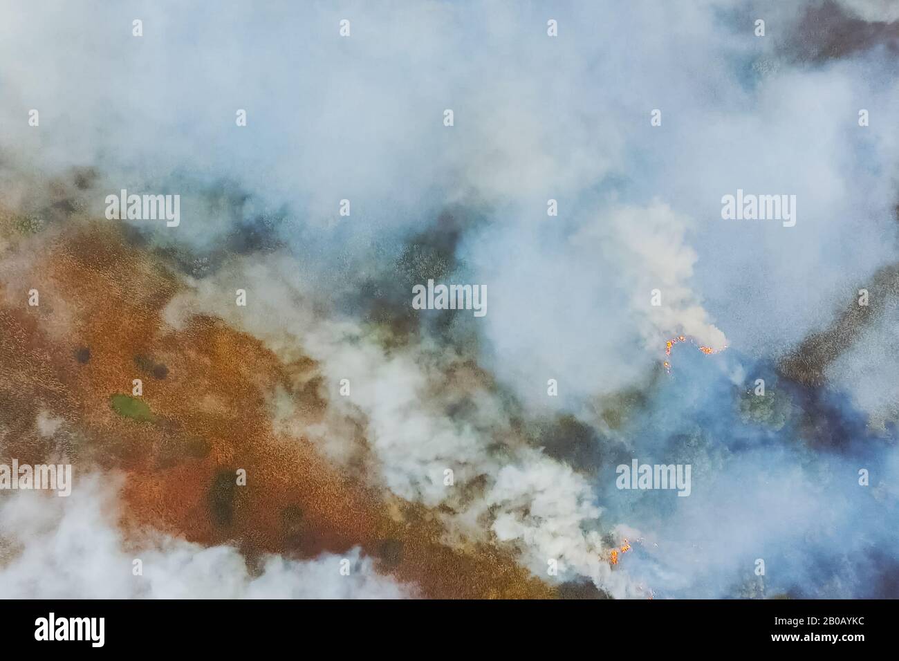 Forest fire, smoke of the surrounding area. smoke and fire Stock Photo ...