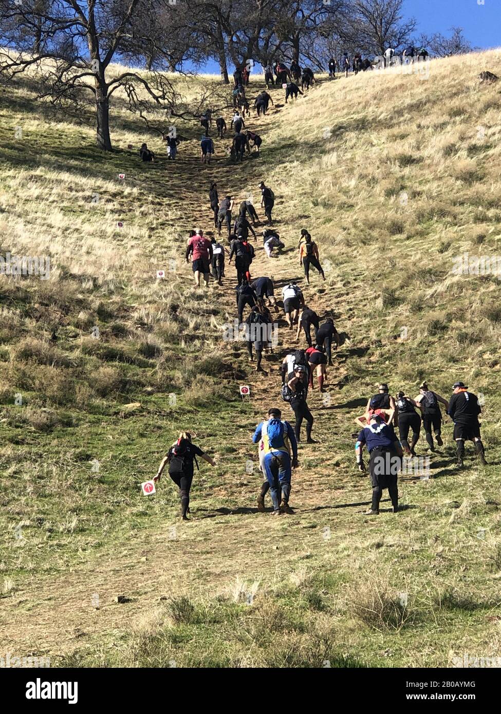 Diablo Grande, California, U.S.A. 19th Feb, 2020. The San Jose Super ...
