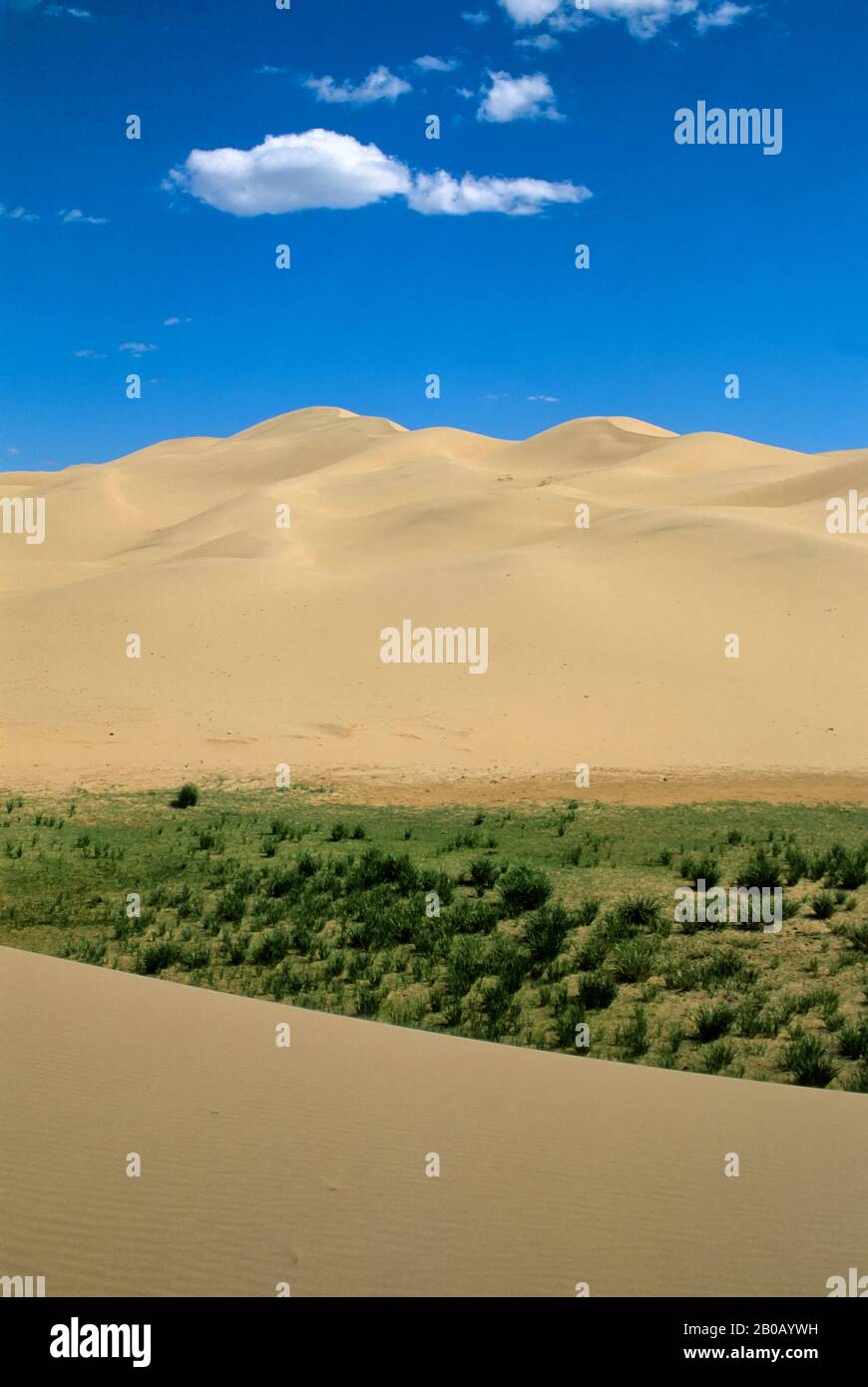 MONGOLIA, GOBI DESERT, NEAR DALANZADGAD, KHONGORYN ELS (SAND DUNES ...