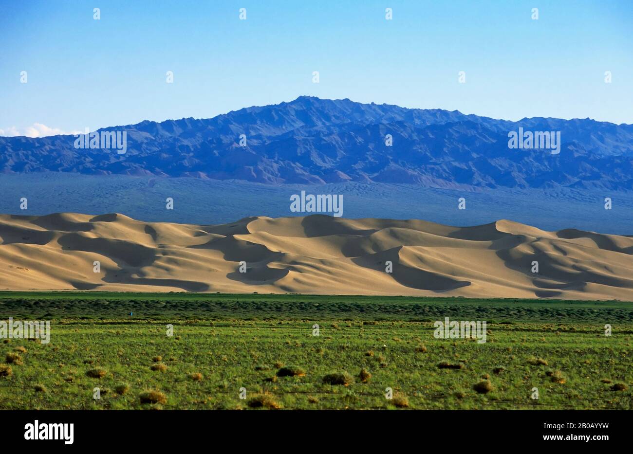MONGOLIA, NEAR DALANZADGAD, GOBI DESERT AT KHONGORYN ELS (SAND DUNES ...
