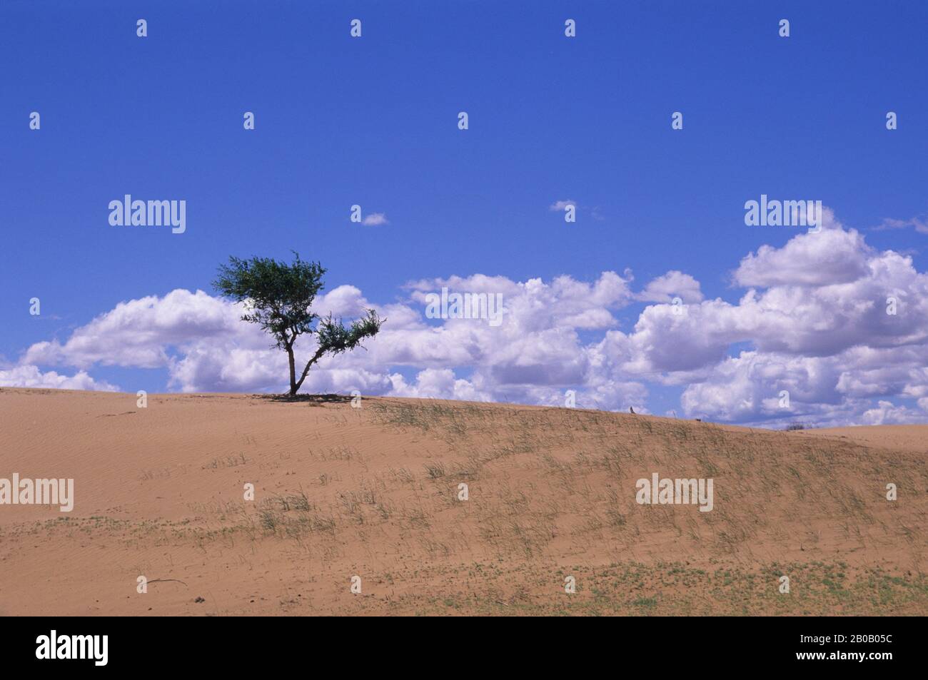 Mongolia landscape hi-res stock photography and images - Alamy