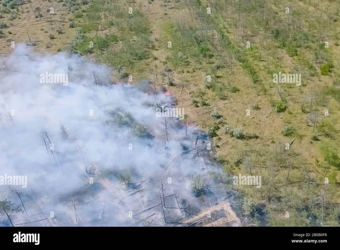 Forest fire, smoke of the surrounding area. smoke and fire Stock Photo ...